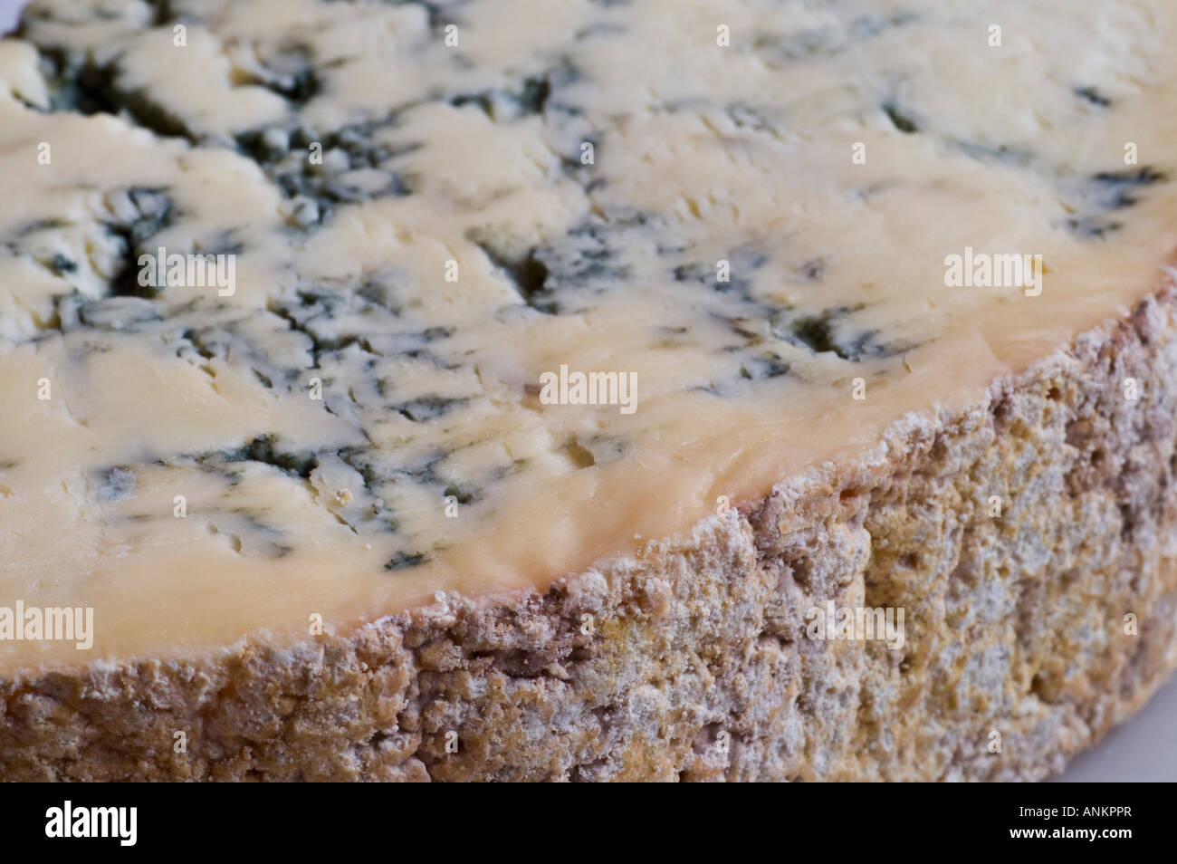 Stilton cheese rind hi-res stock photography and images - Alamy