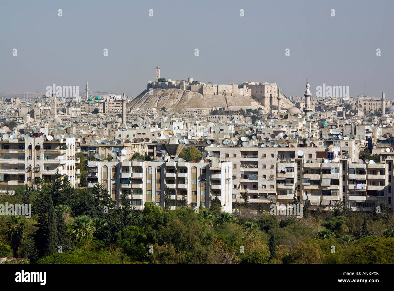 view of Aleppo city with the citadel in the background Stock Photo - Alamy