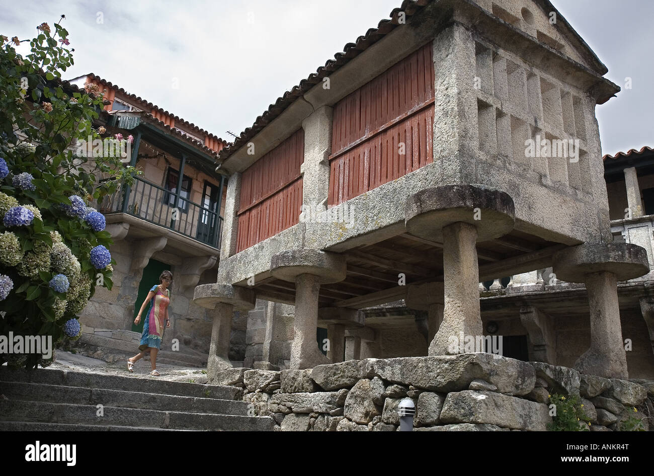 Hórreo typical granary in Combarro Pontevedra province Galicia Spain ...