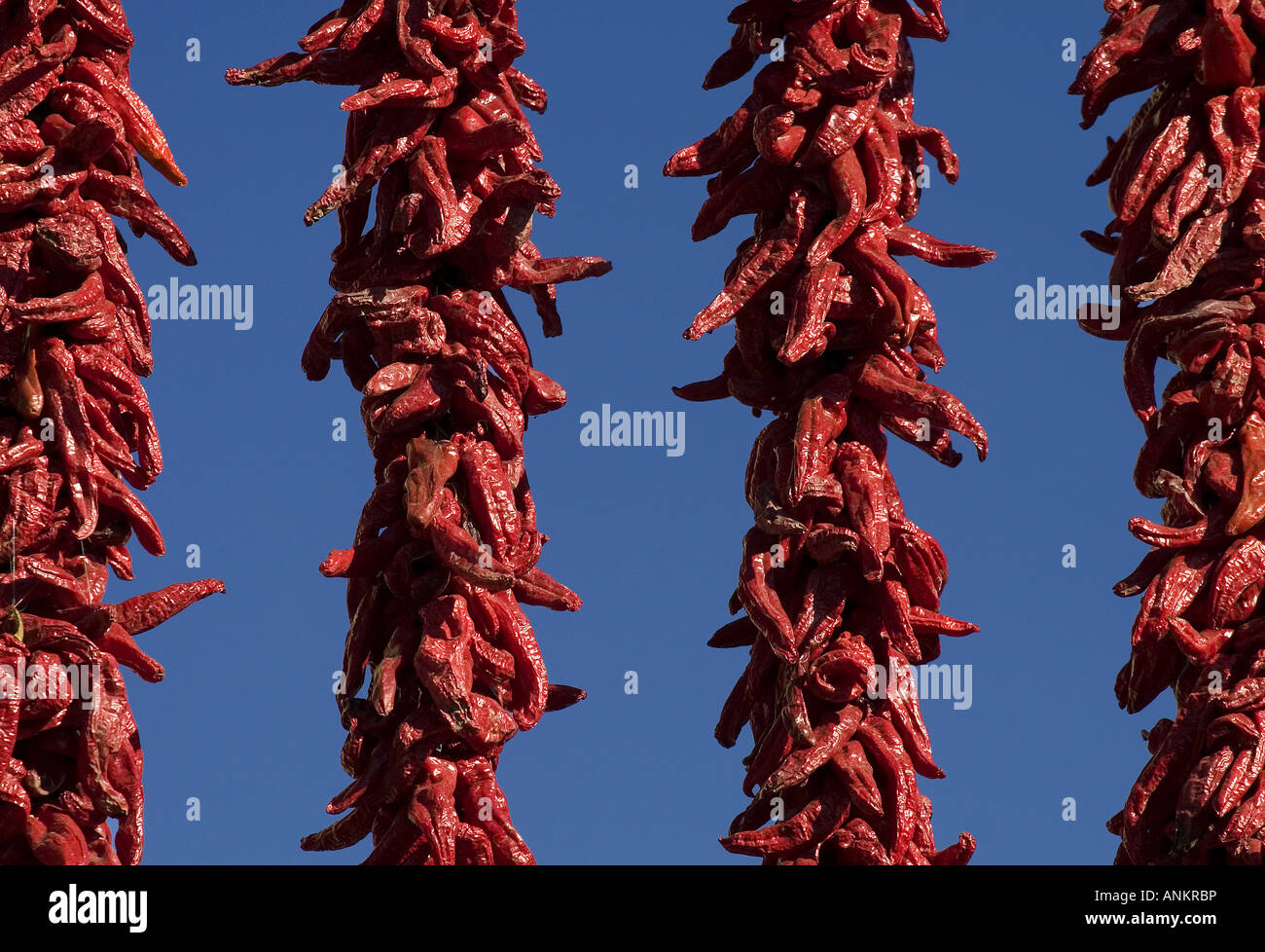 Strings of dried chilies hi-res stock photography and images - Alamy