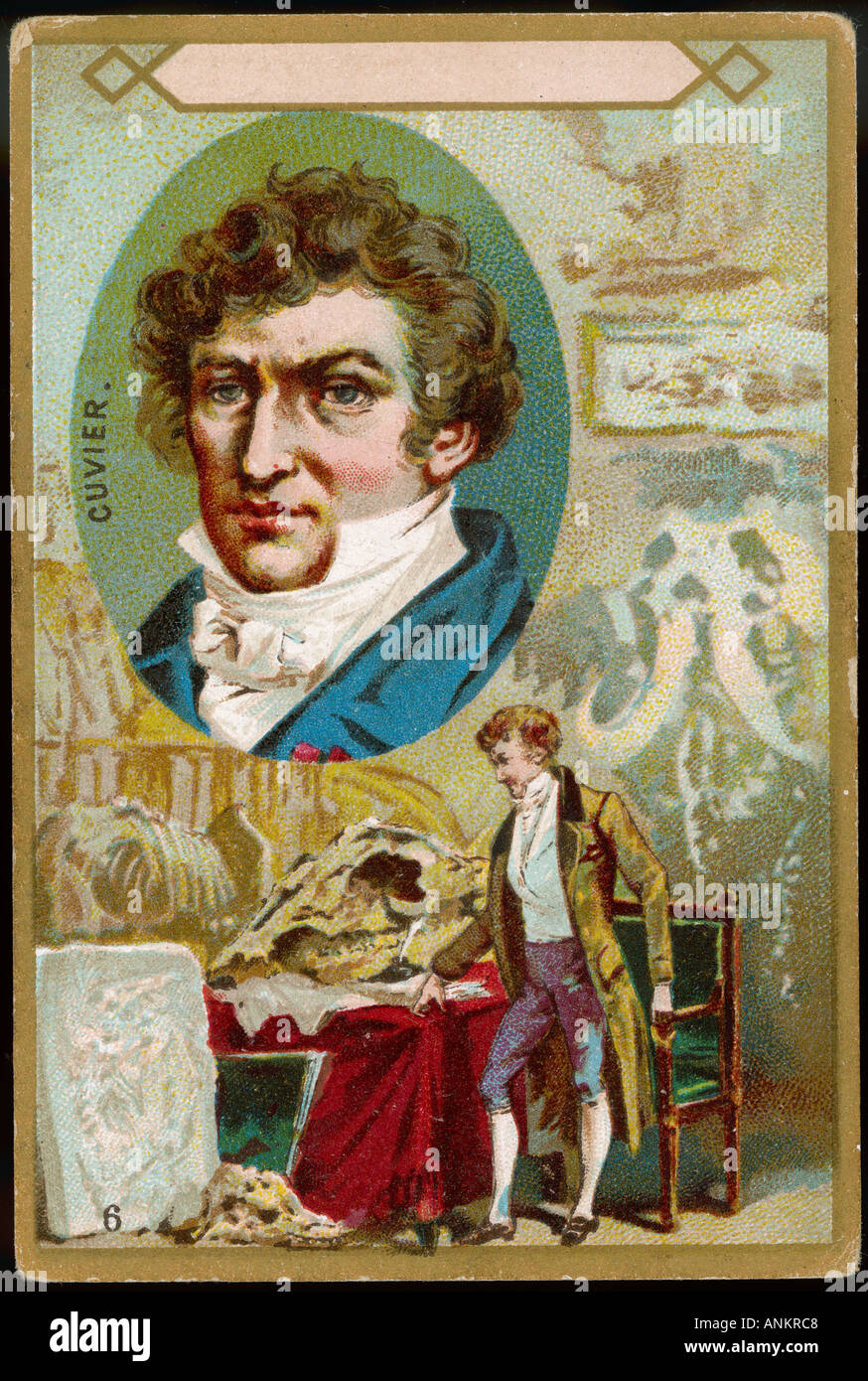 Georges baron cuvier hi-res stock photography and images - Alamy