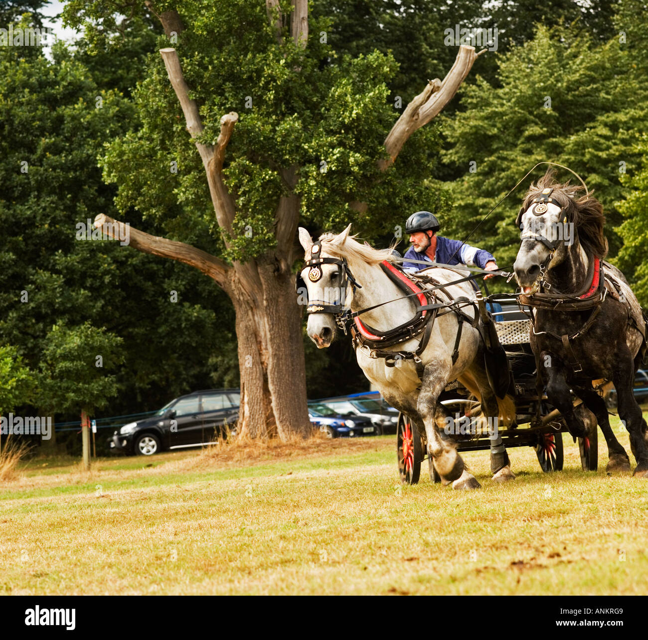 English country fayre hi-res stock photography and images - Alamy