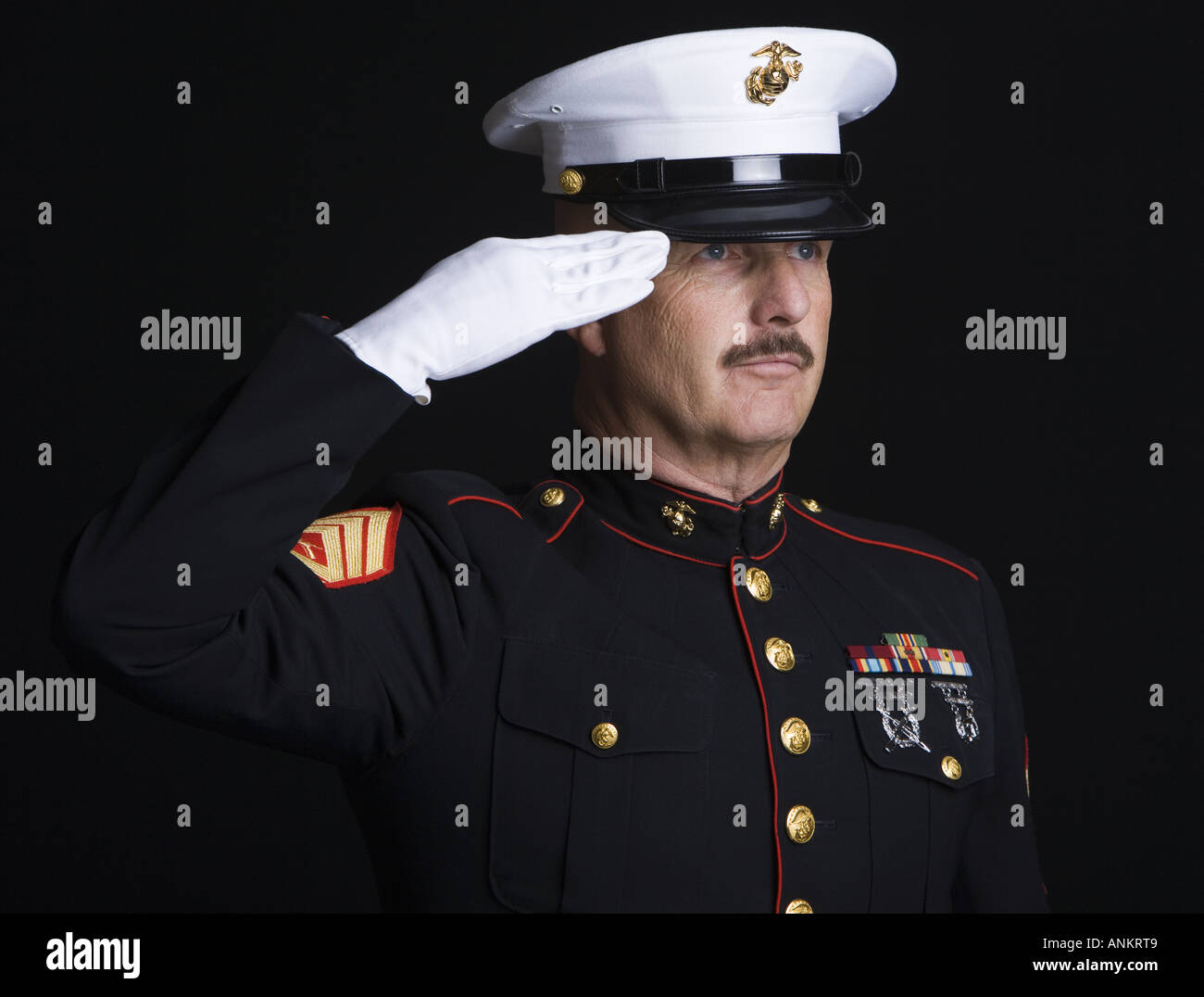 Close up of a soldier saluting Stock Photo - Alamy