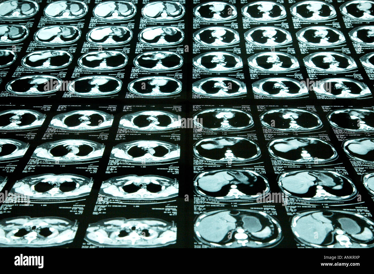 Cat health research hi-res stock photography and images - Alamy