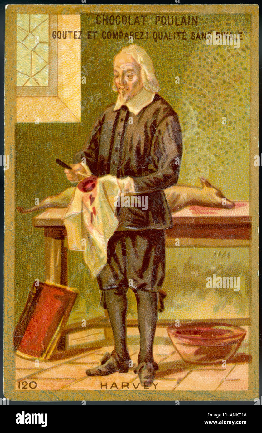 William harvey circulation hi-res stock photography and images - Alamy