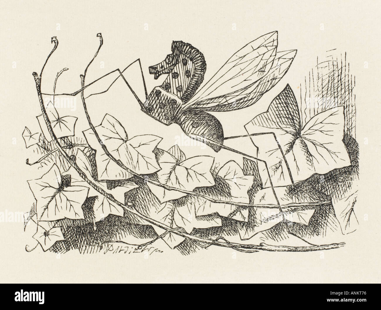 Alice Rocking Horse Fly Stock Photo - Alamy