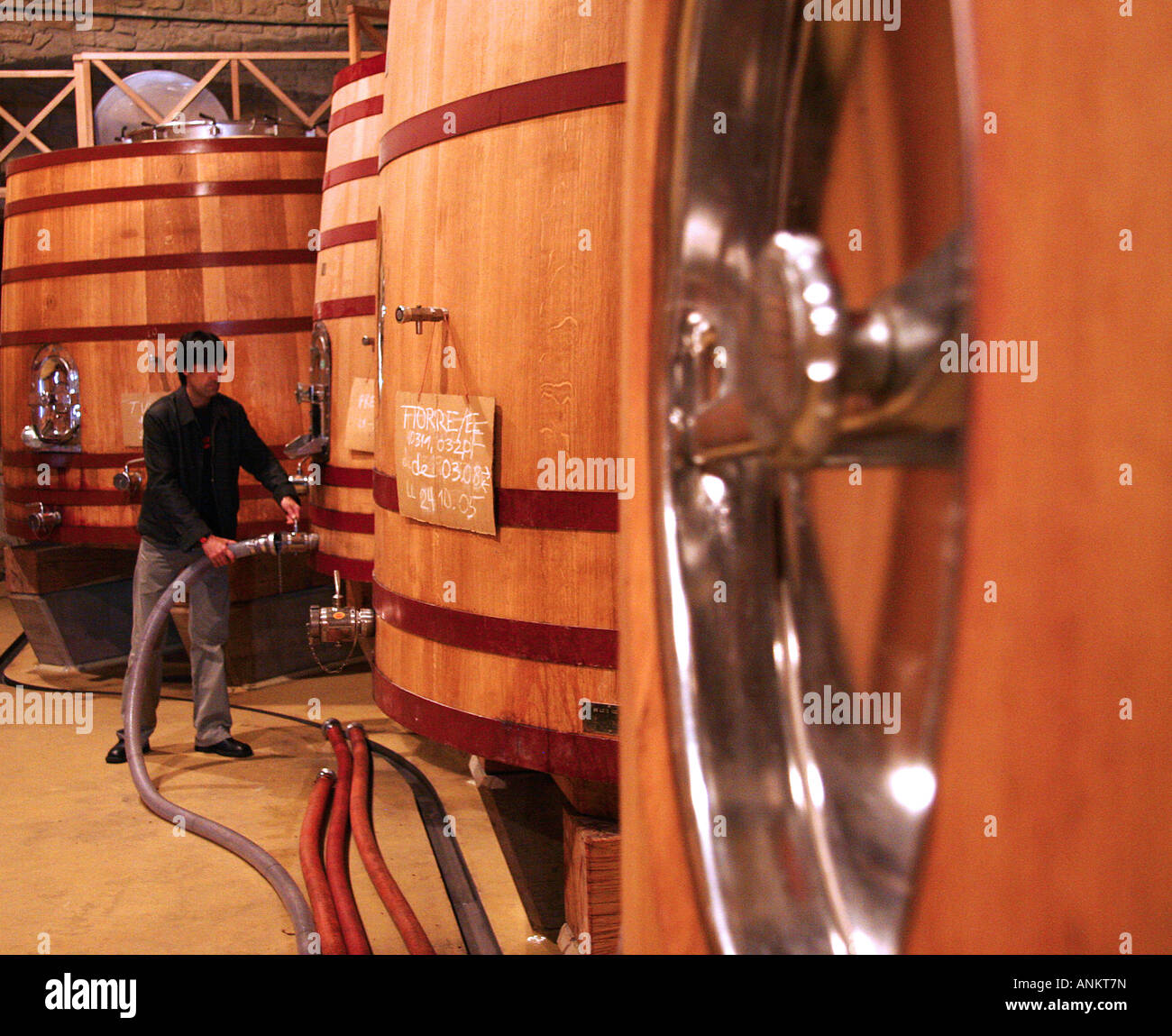 Tank fermentation in wine cellar La Rioja Spain Stock Photo - Alamy