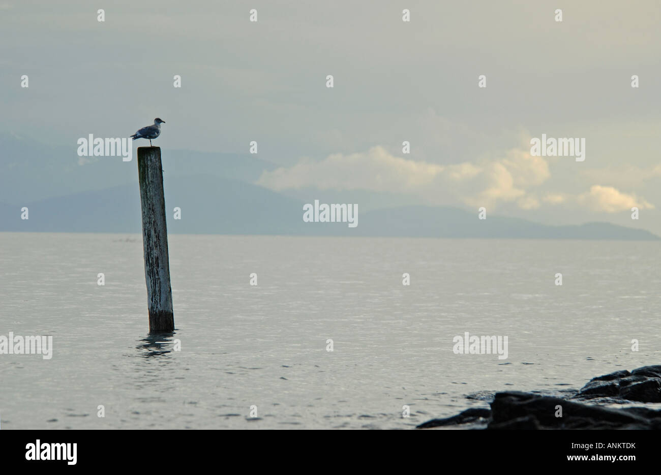 Nanoose bay vancouver island hi-res stock photography and images - Alamy