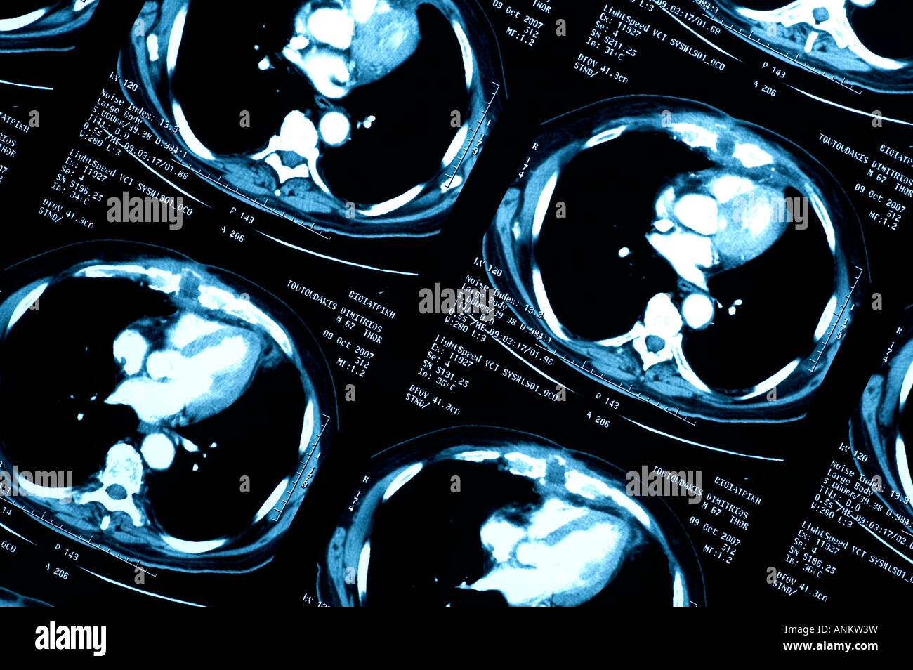 Cat health research hi-res stock photography and images - Alamy