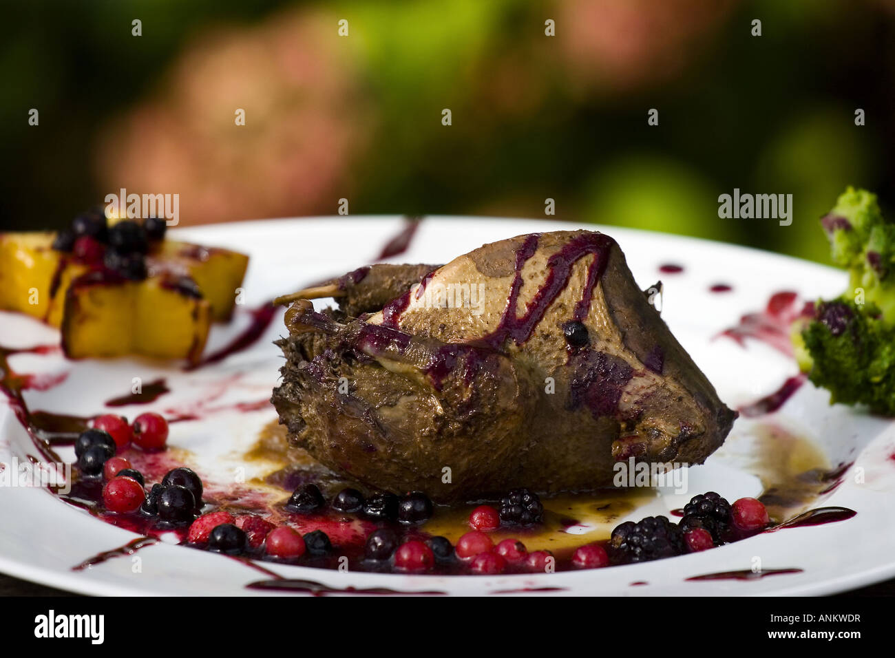 Wood pigeon meat hi-res stock photography and images - Alamy