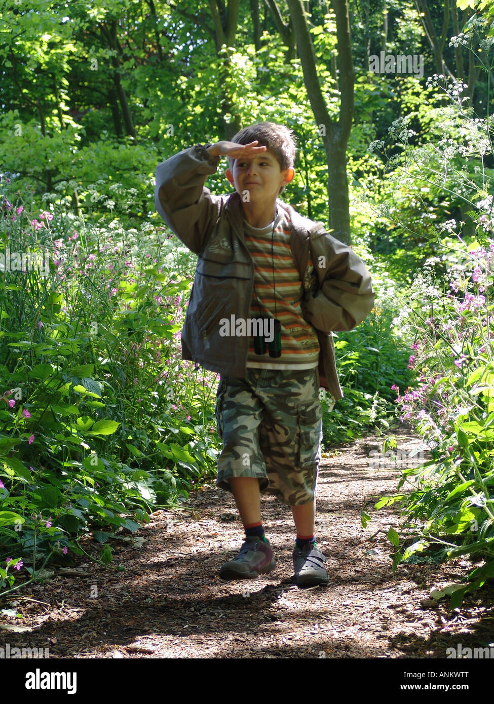 A little boy walker, explorer looking for small insects, Sewerby ...