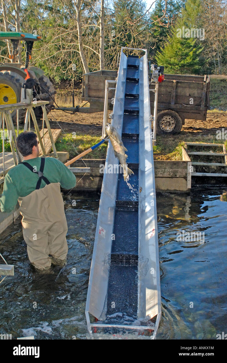 Fish stocks hi-res stock photography and images - Alamy