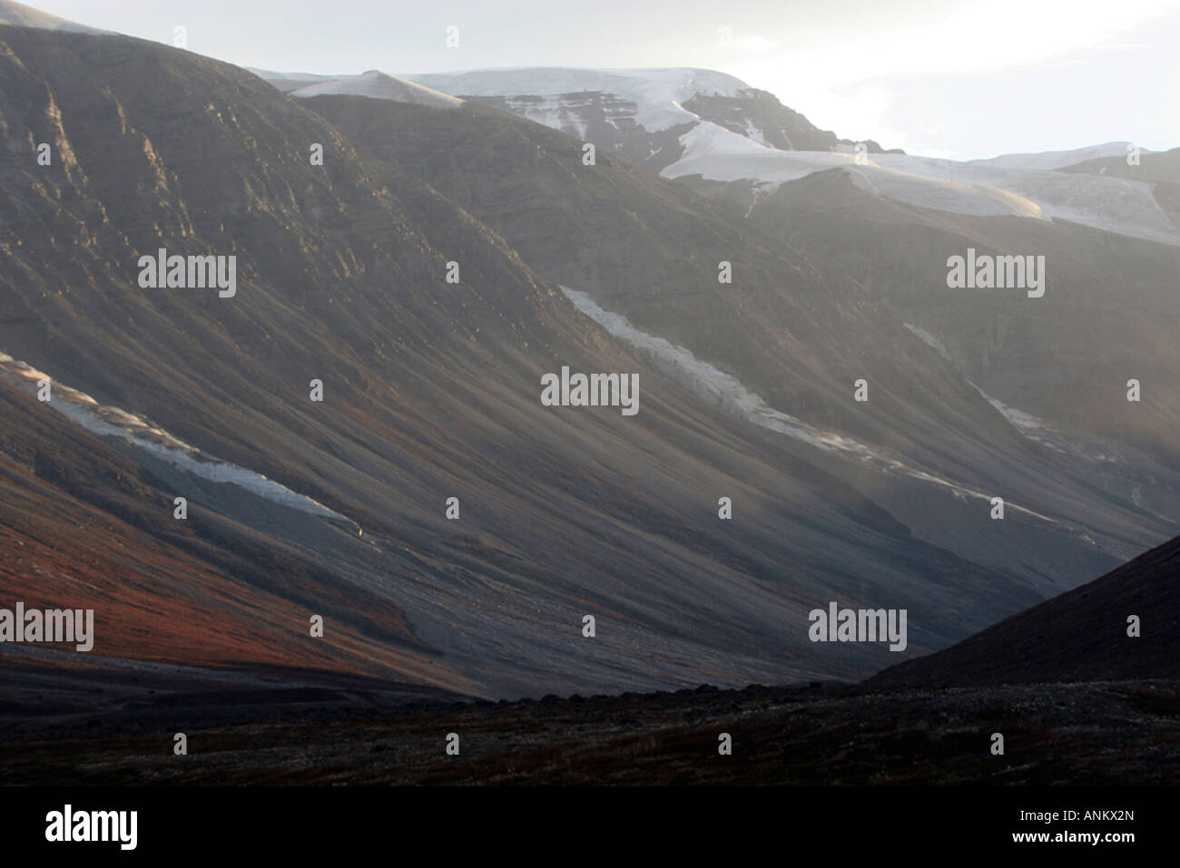 glacial valley on Greenland Stock Photo - Alamy