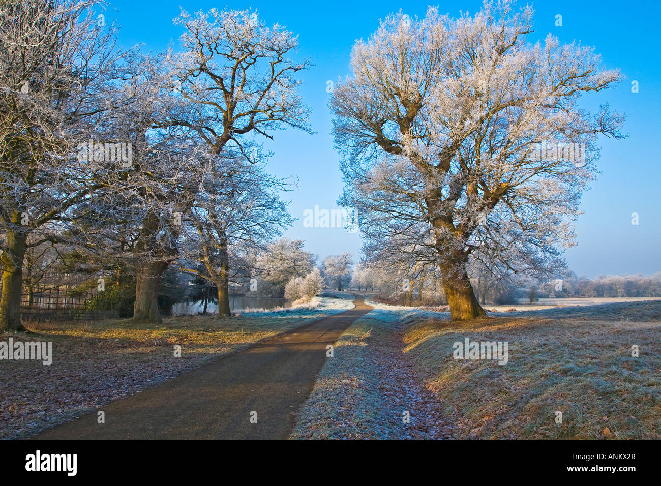 Parham Park near Storrington on a frosty winters blue sky morning in ...