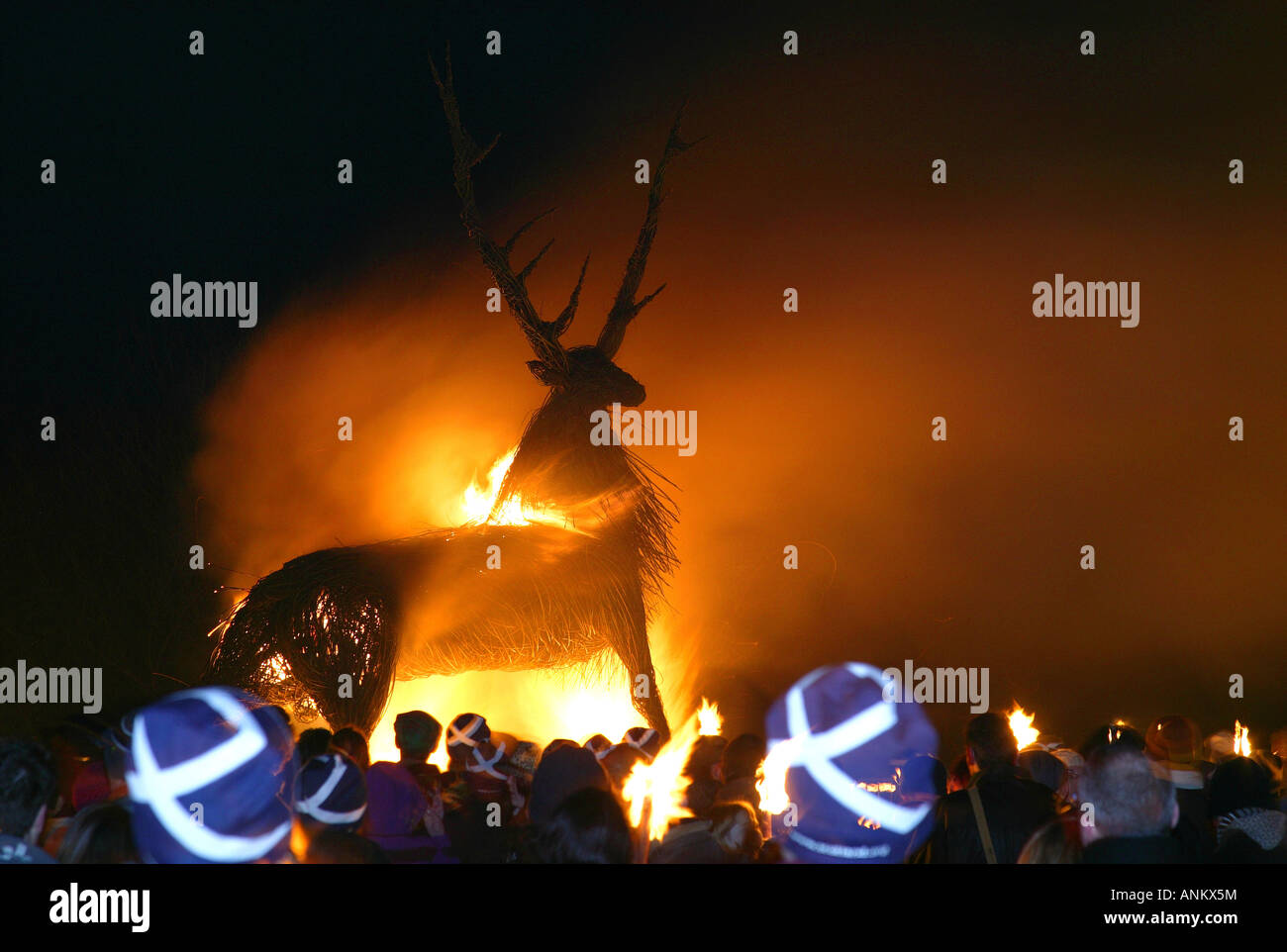 Burning wicker and willow stag, new year celebrations, Calton Hill ...