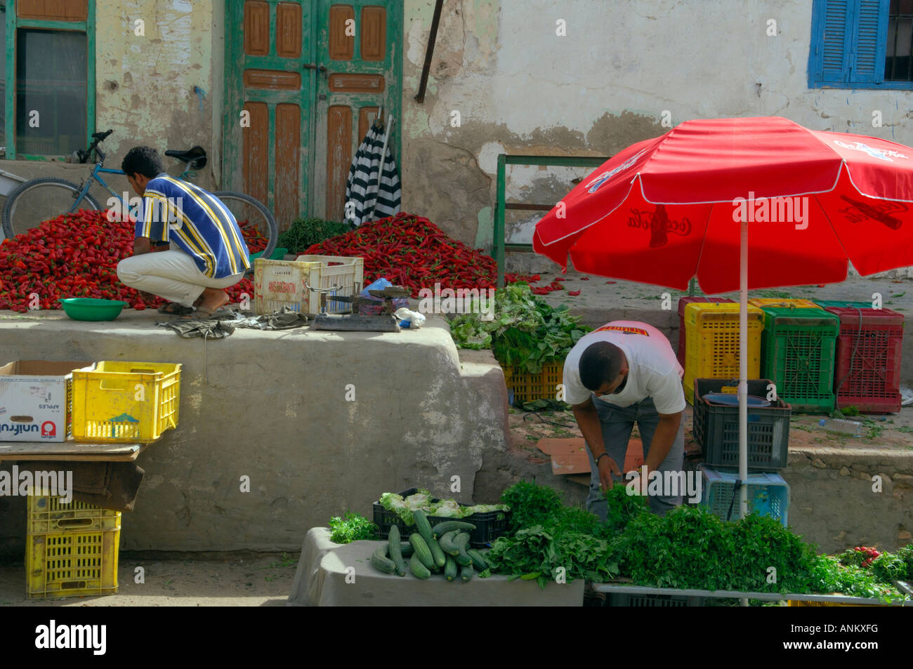 Town el jem tunisia el jem hi-res stock photography and images - Alamy