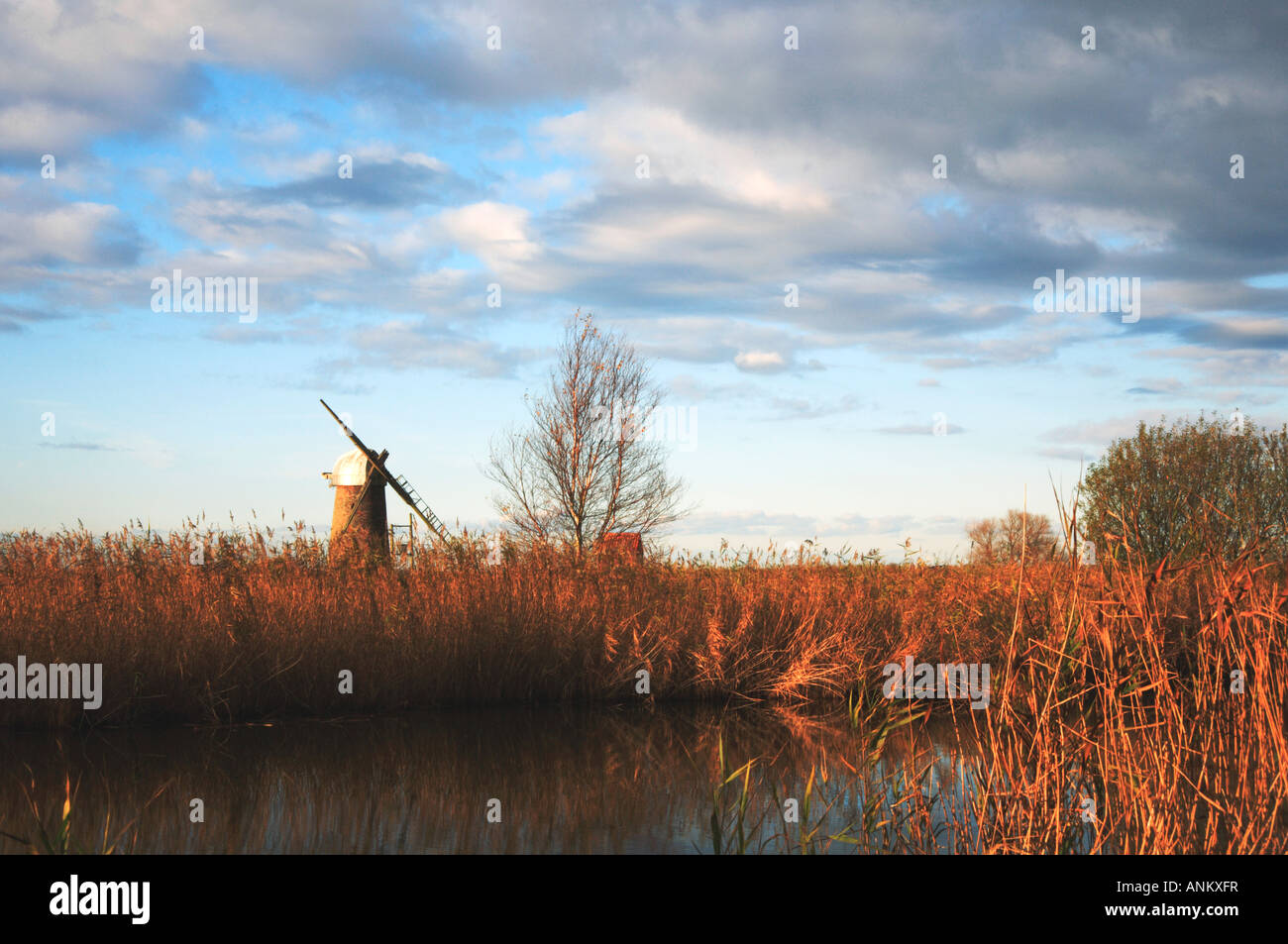 Heigham holmes hi-res stock photography and images - Alamy