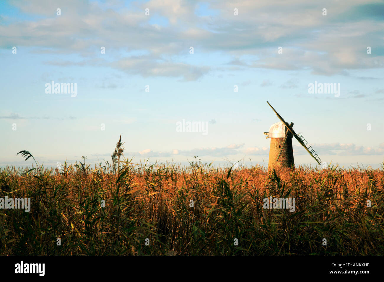Heigham Holmes Drainage Mill by the River Thurne near Potter Heigham ...