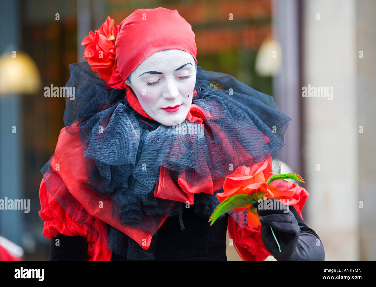 Female mime artist with red rose Stock Photo - Alamy