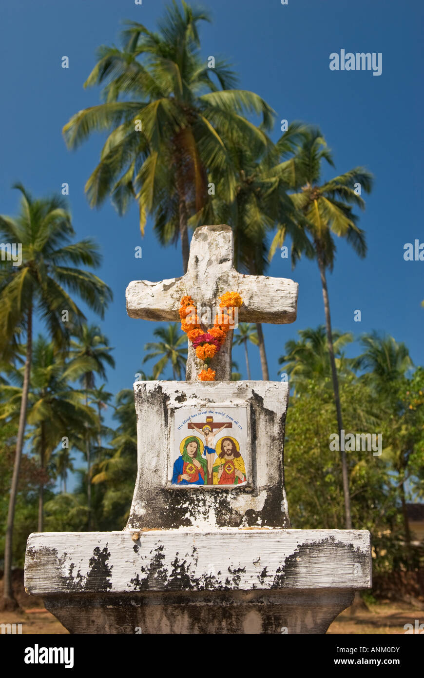 Goan flower hi-res stock photography and images - Alamy