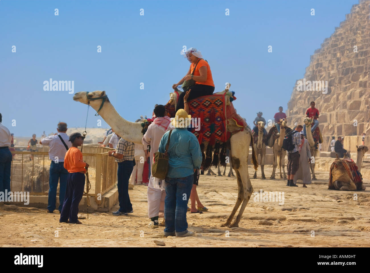 Tourists on Camels at Giza pyramids Stock Photo - Alamy