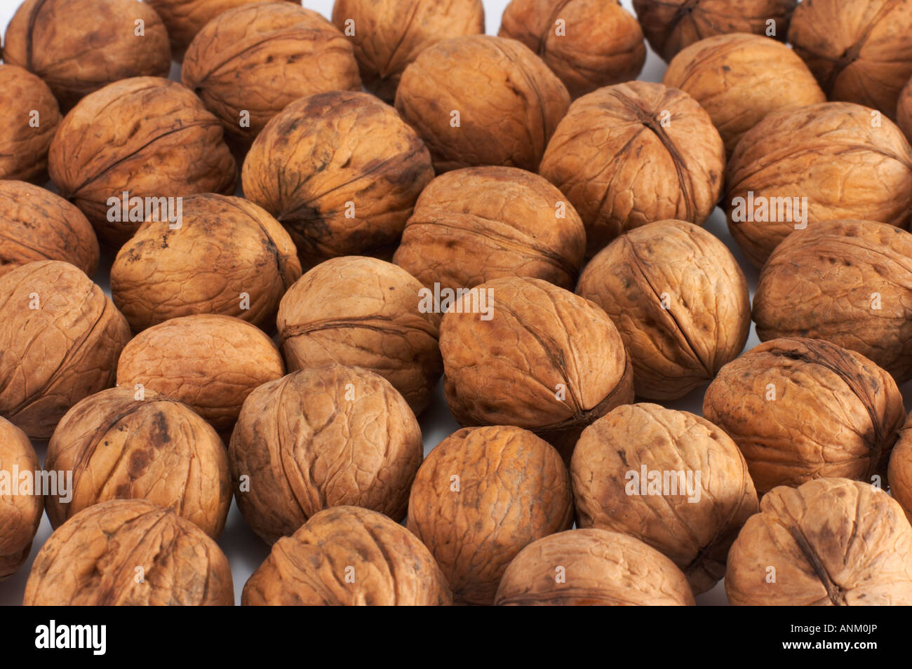 Nuts garden stuf background Stock Photo - Alamy