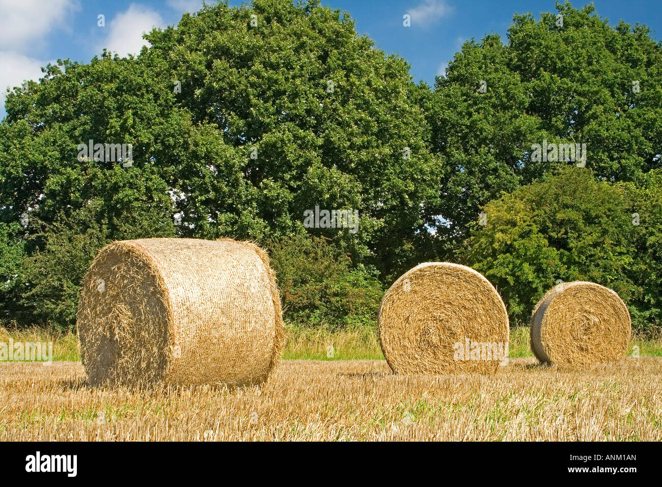 Three haystacks hi-res stock photography and images - Alamy