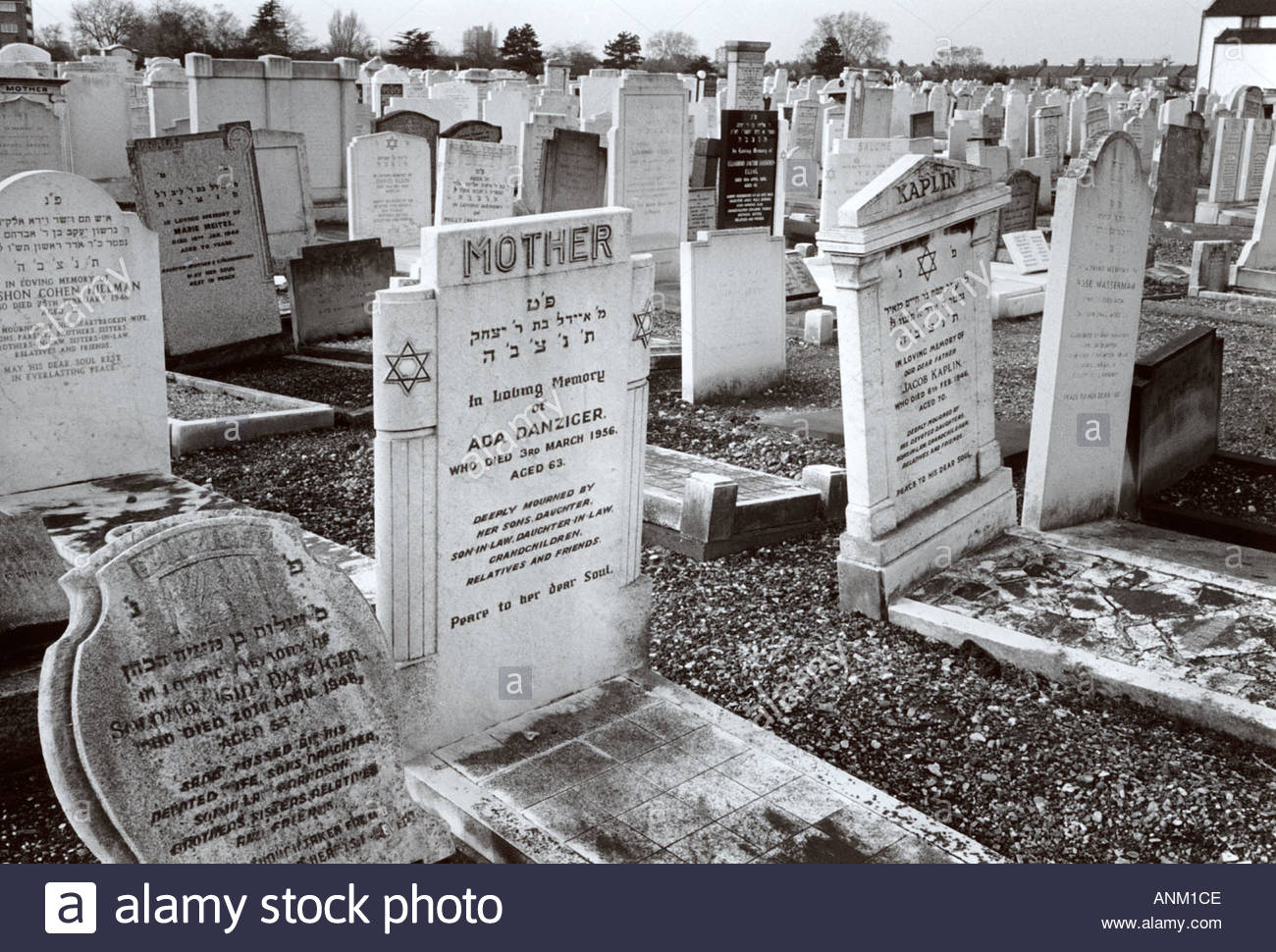 Jewish Cemetery London Stock Photos & Jewish Cemetery London Stock ...