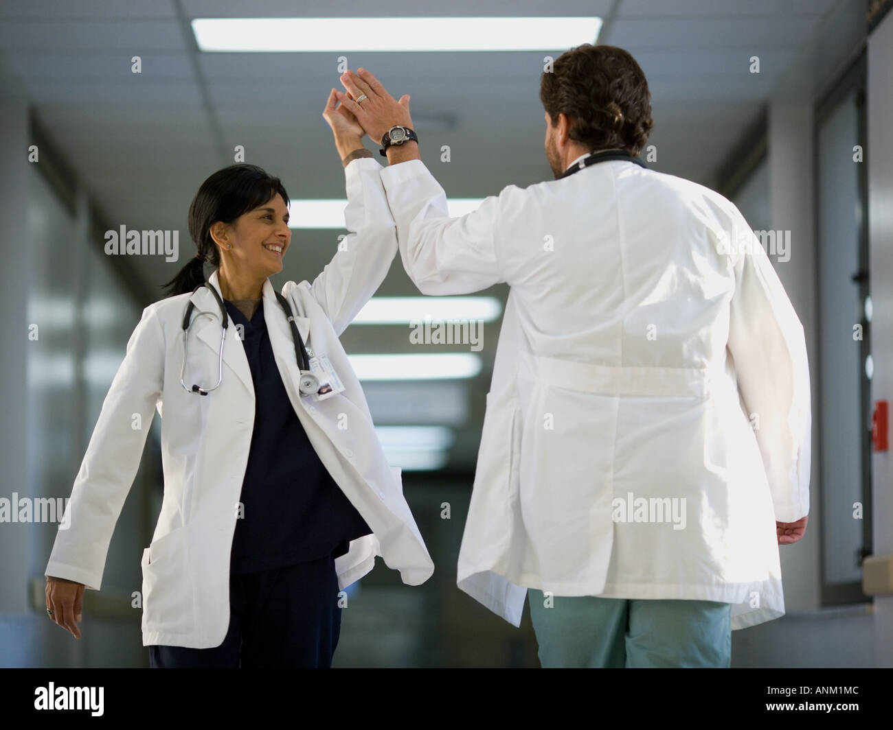 Rear view of a male doctor giving high five to a female doctor Stock ...