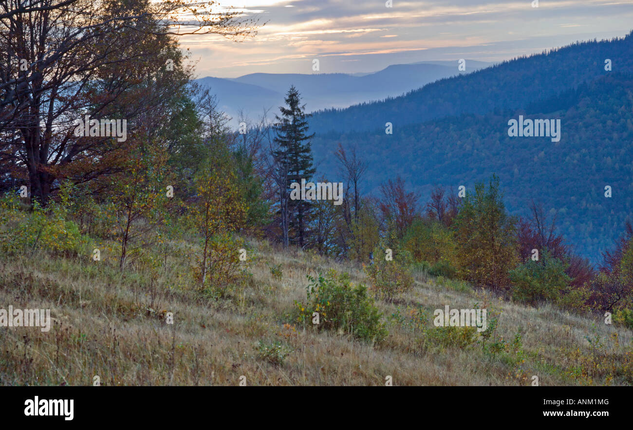 Morning dew on fall mountainside Stock Photo - Alamy