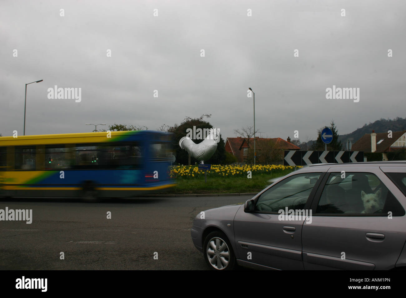 Dorking Roundabout in surrey with daffodils and hen sculpture Stock ...