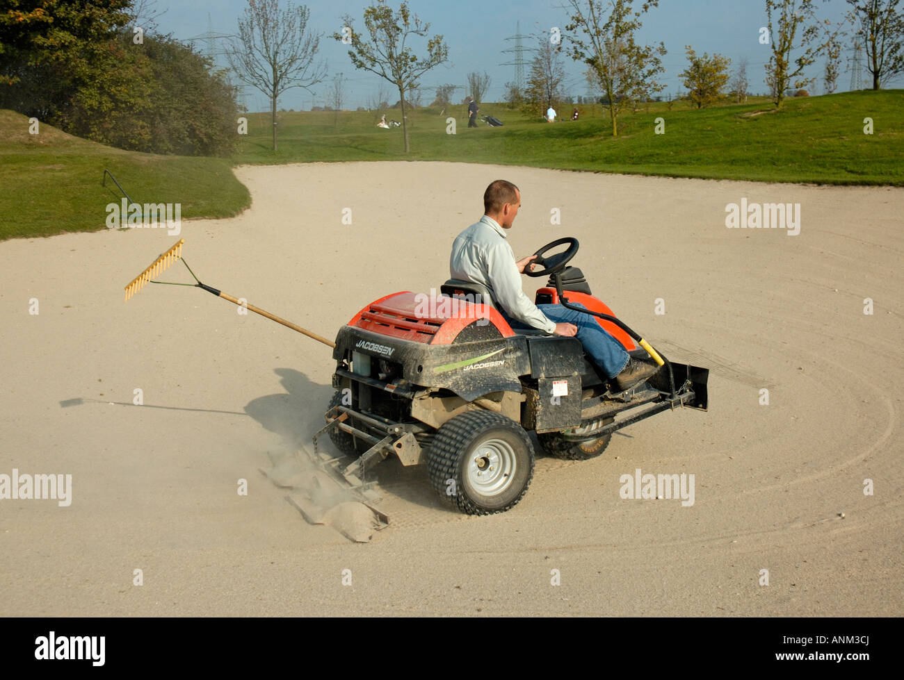 Head green-keeper driving tractor in bunker on golf course Stock Photo ...