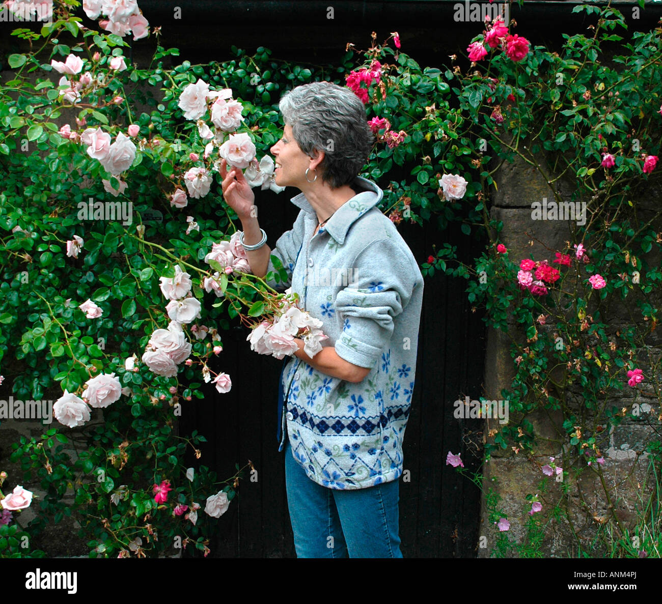 Woman smelling red roses hi-res stock photography and images - Alamy