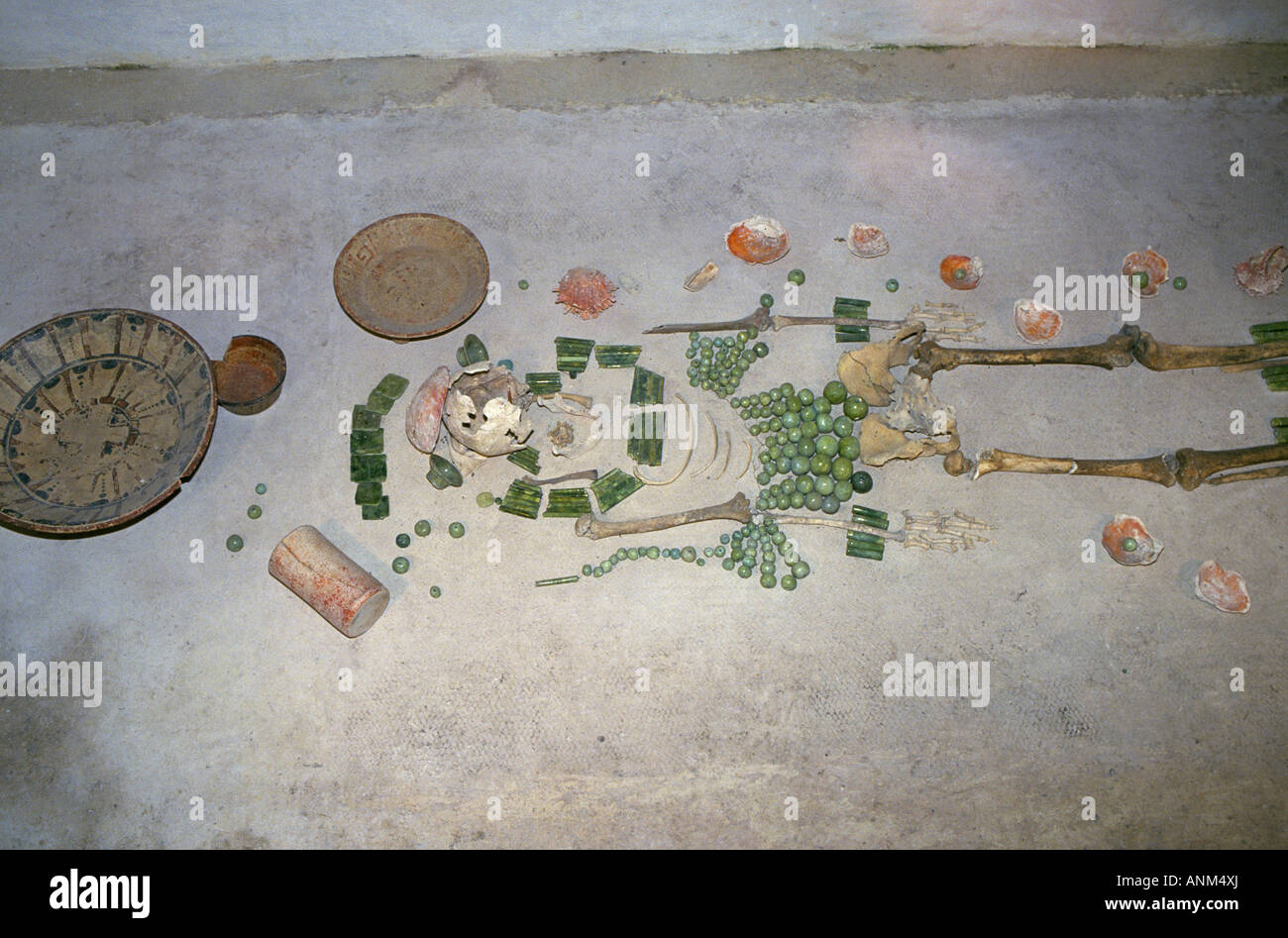 Detail of an Olmec Indian skeleton in a burial site along with pottery ...