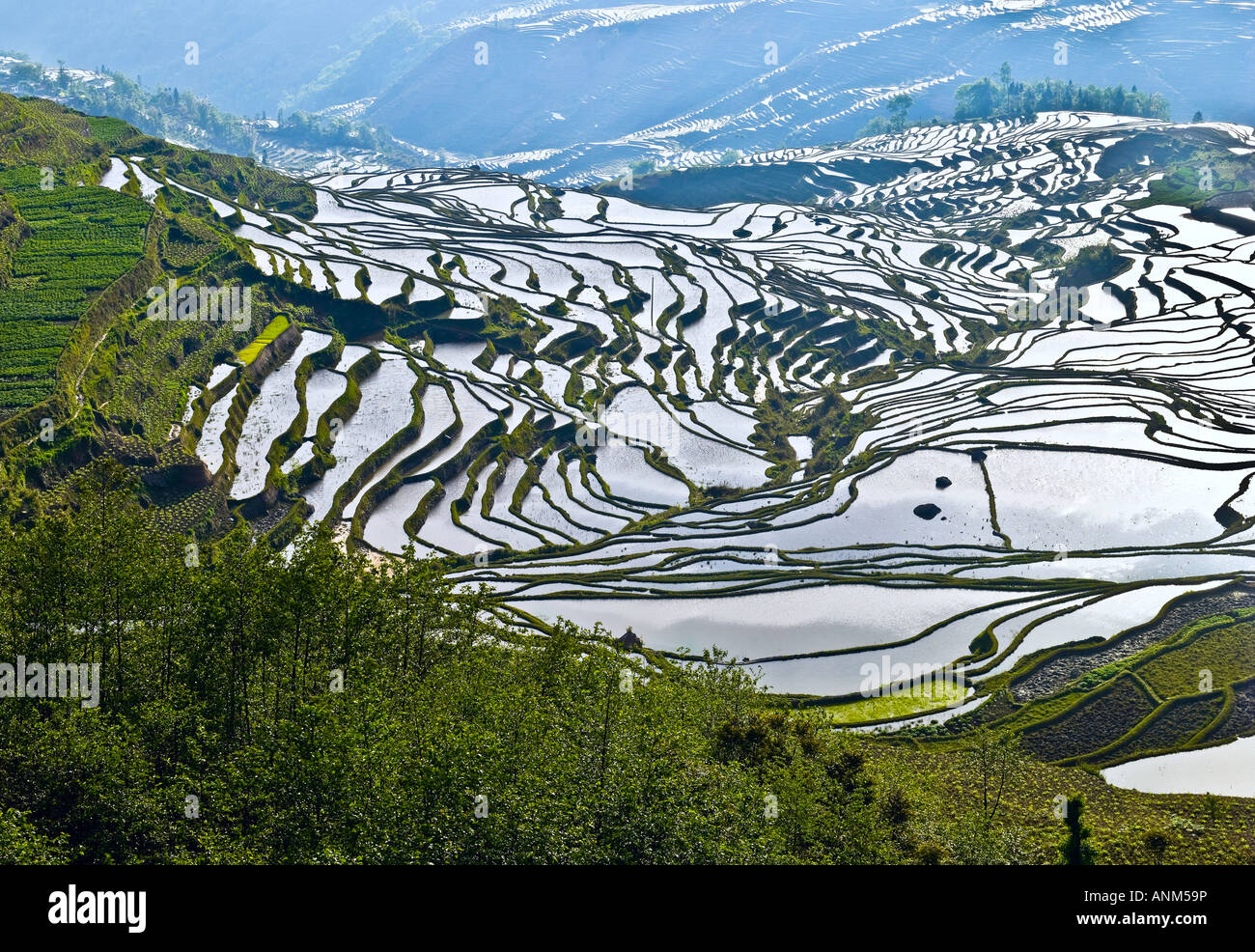 Rice Terrace Field in Yuanyang Stock Photo - Alamy