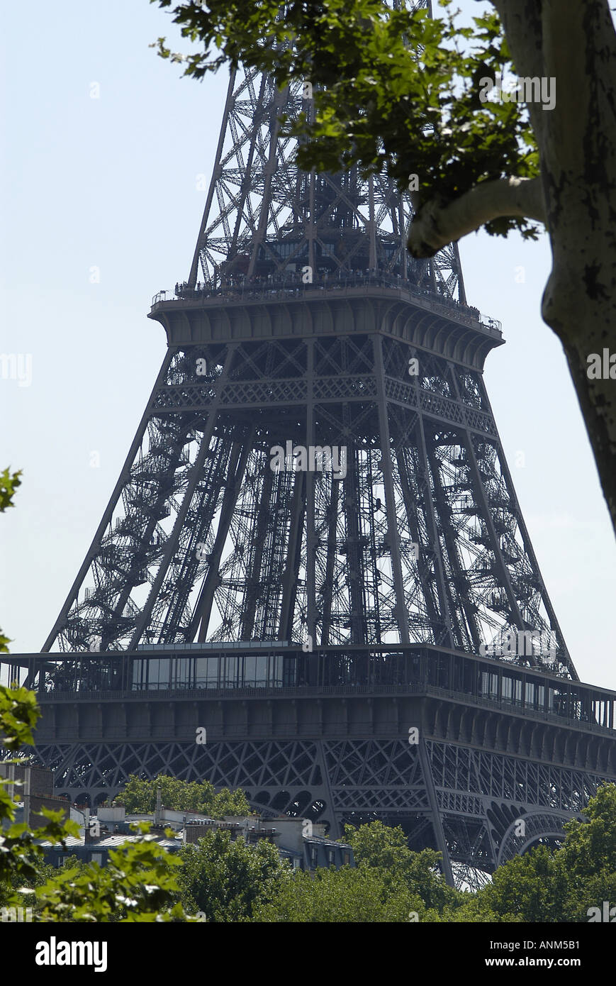 Eiffel Tower Paris France vertical Stock Photo - Alamy