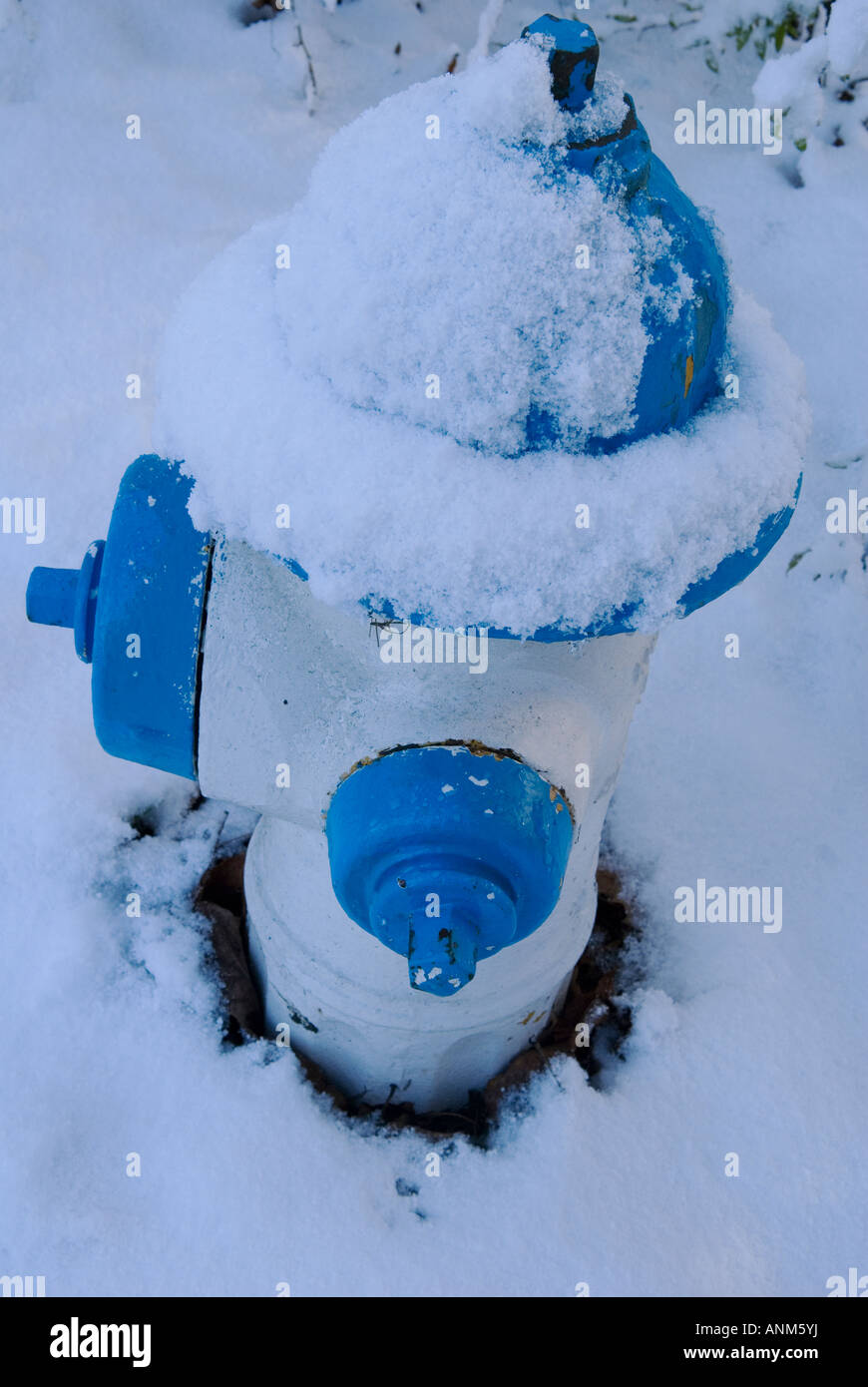 blue fire hydrant in snow Stock Photo - Alamy