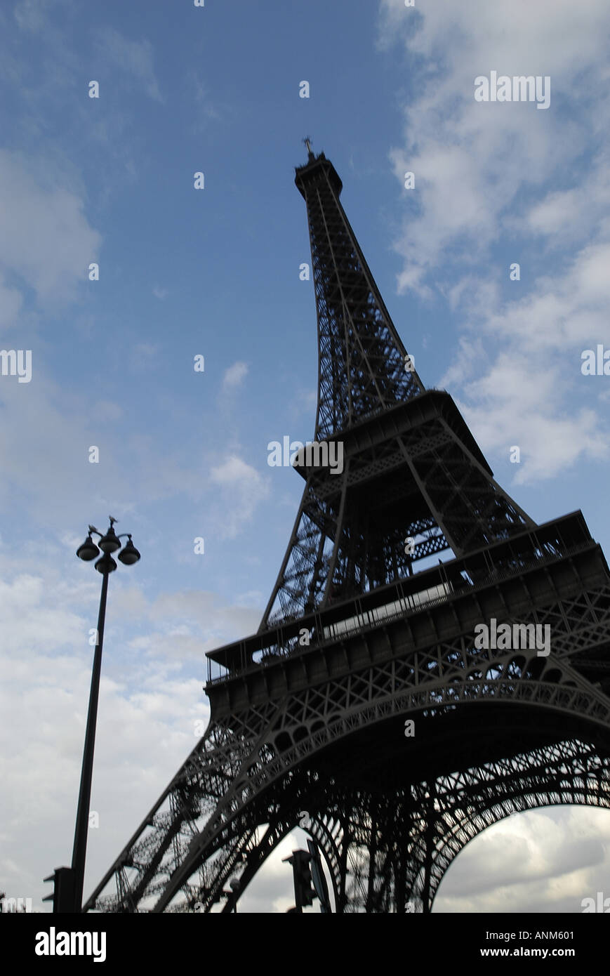 Eiffel Tower Paris France Birds vertical Stock Photo - Alamy