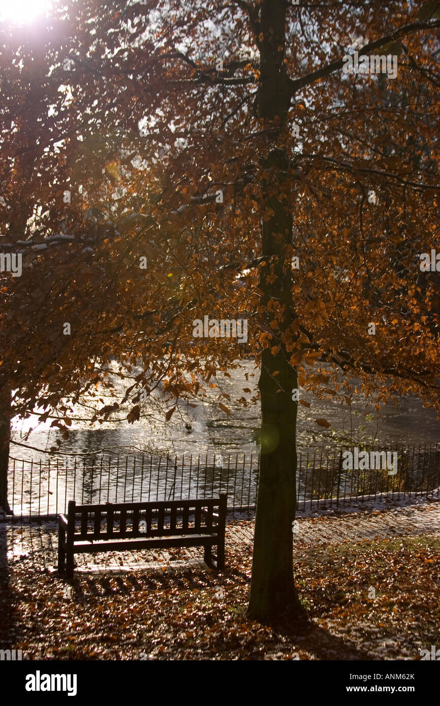 Bench overlooking pond hi-res stock photography and images - Alamy
