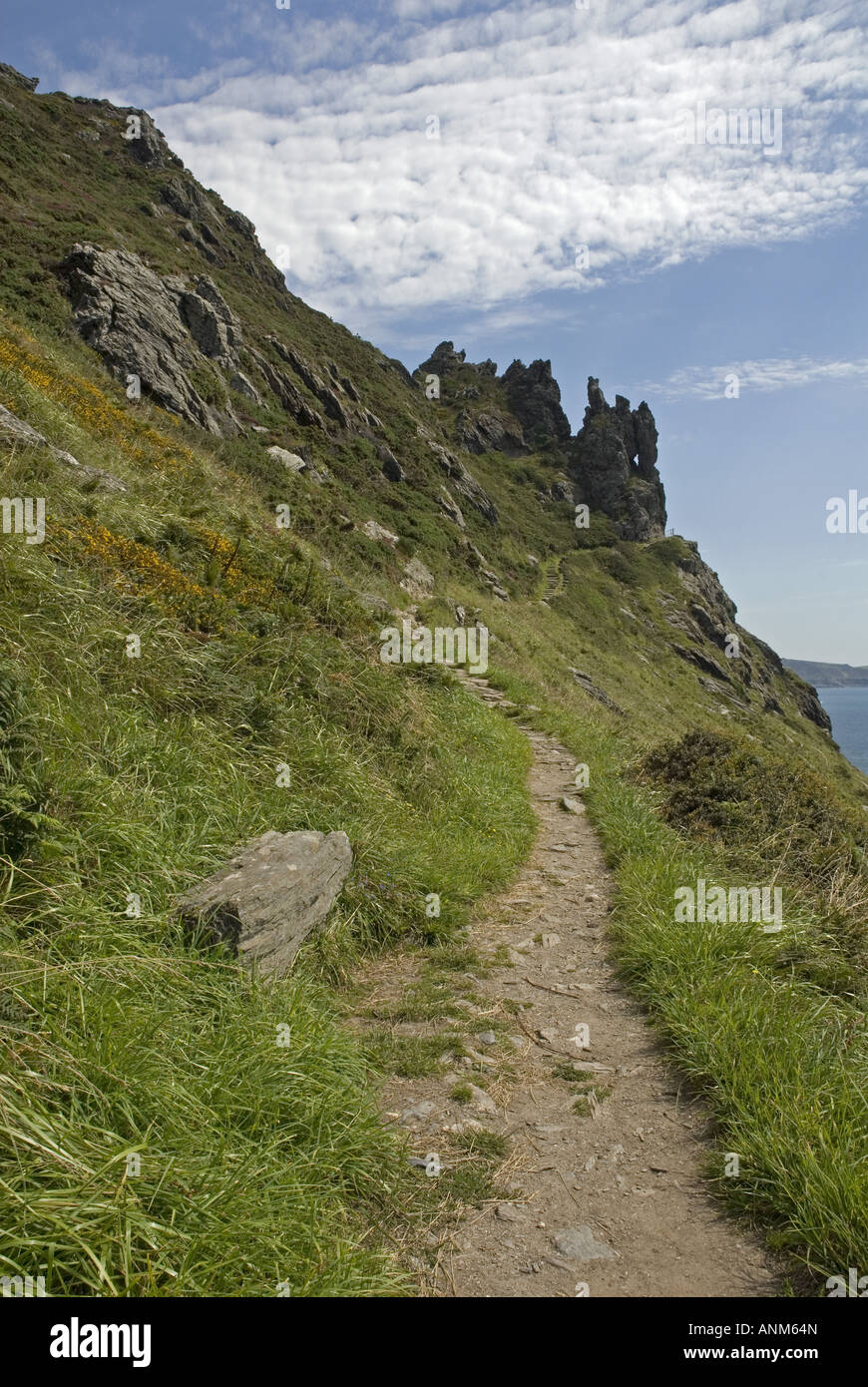 South west coast path below Sharp Tor near Salcombe, south Devon Stock ...