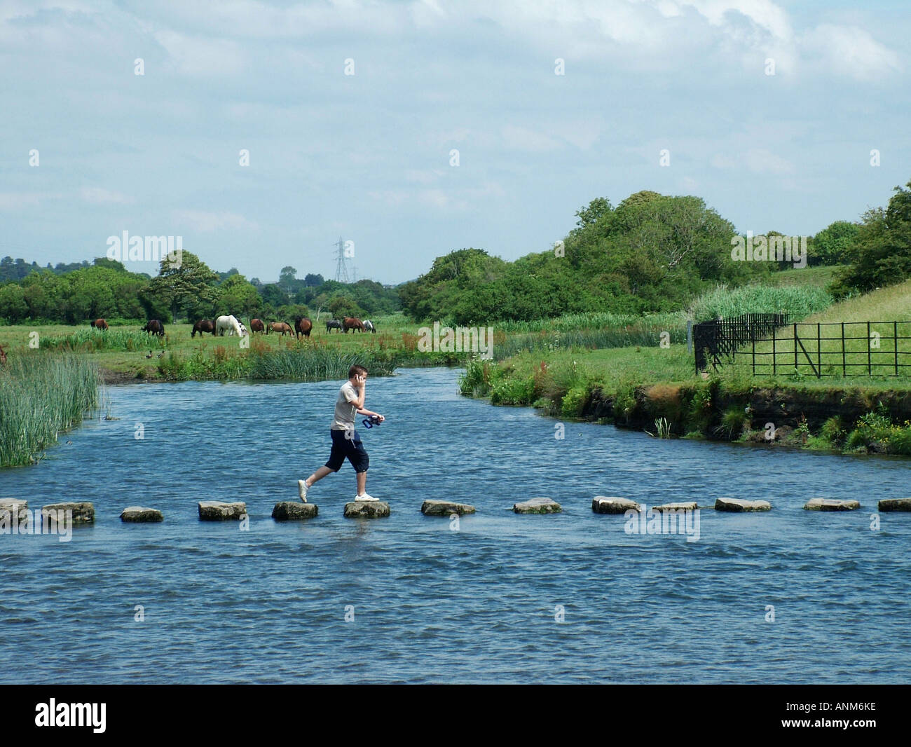 Talking on Mobile Phone while Crossing Stepping Stones River Ogmore ...