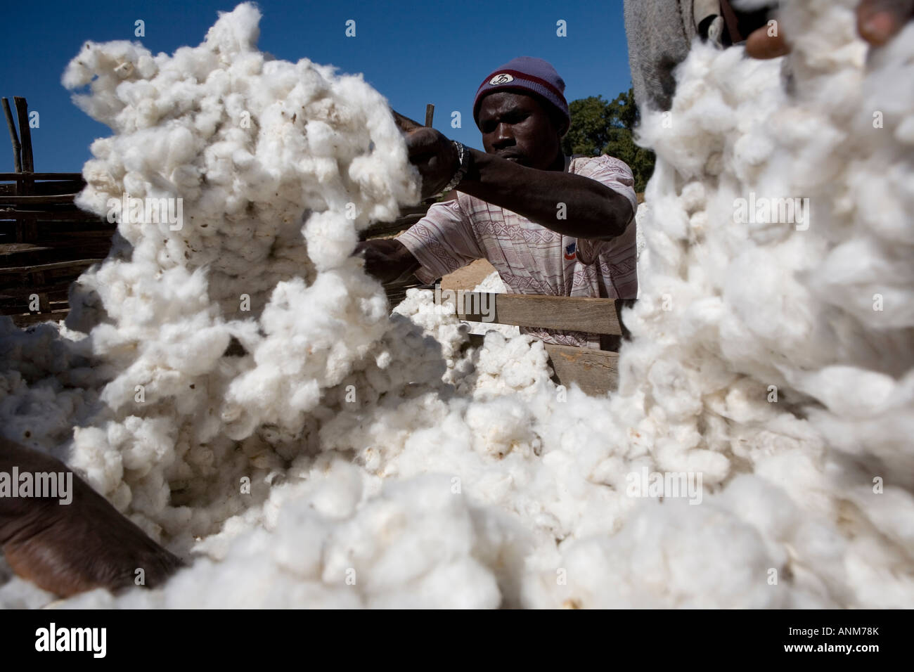 Fairtrade cotton mali hi-res stock photography and images - Alamy
