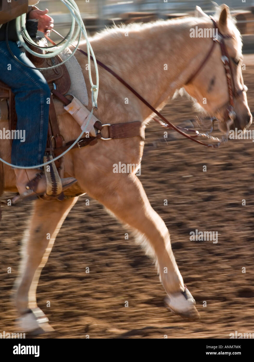 Prepare to move out hi-res stock photography and images - Alamy