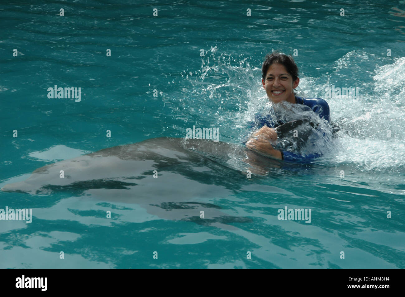 Swim dolphin woman hi-res stock photography and images - Alamy