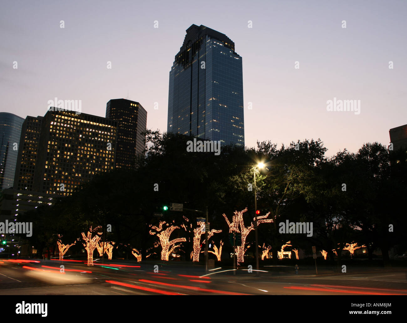 Trees covered in lights with skyscraper Downtown Houston Texas at dusk ...