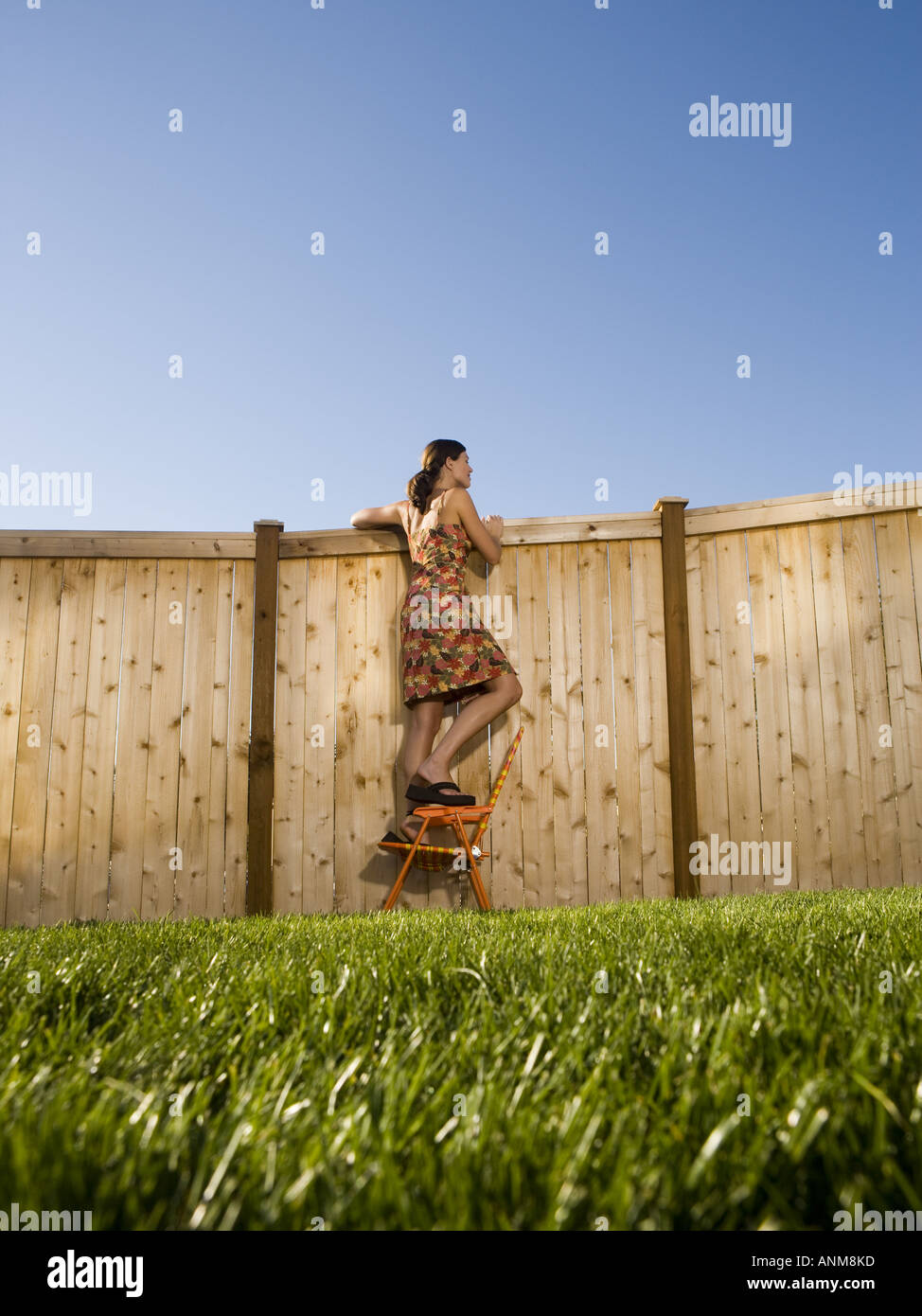 Low angle view of a woman peeking over a wooden fence Stock Photo - Alamy