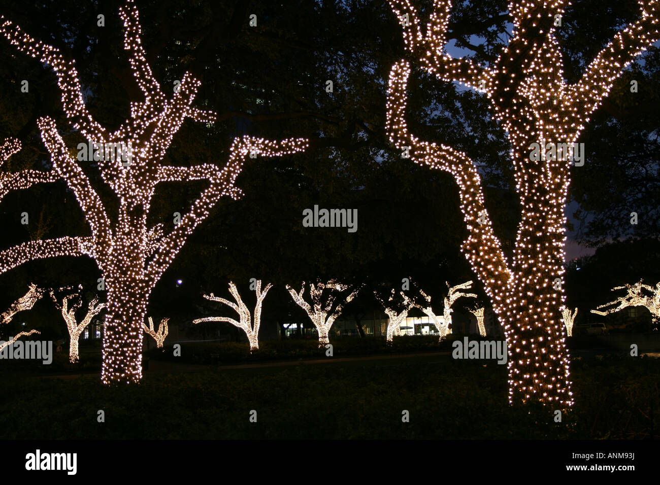 Houston downtown at night hi-res stock photography and images - Alamy