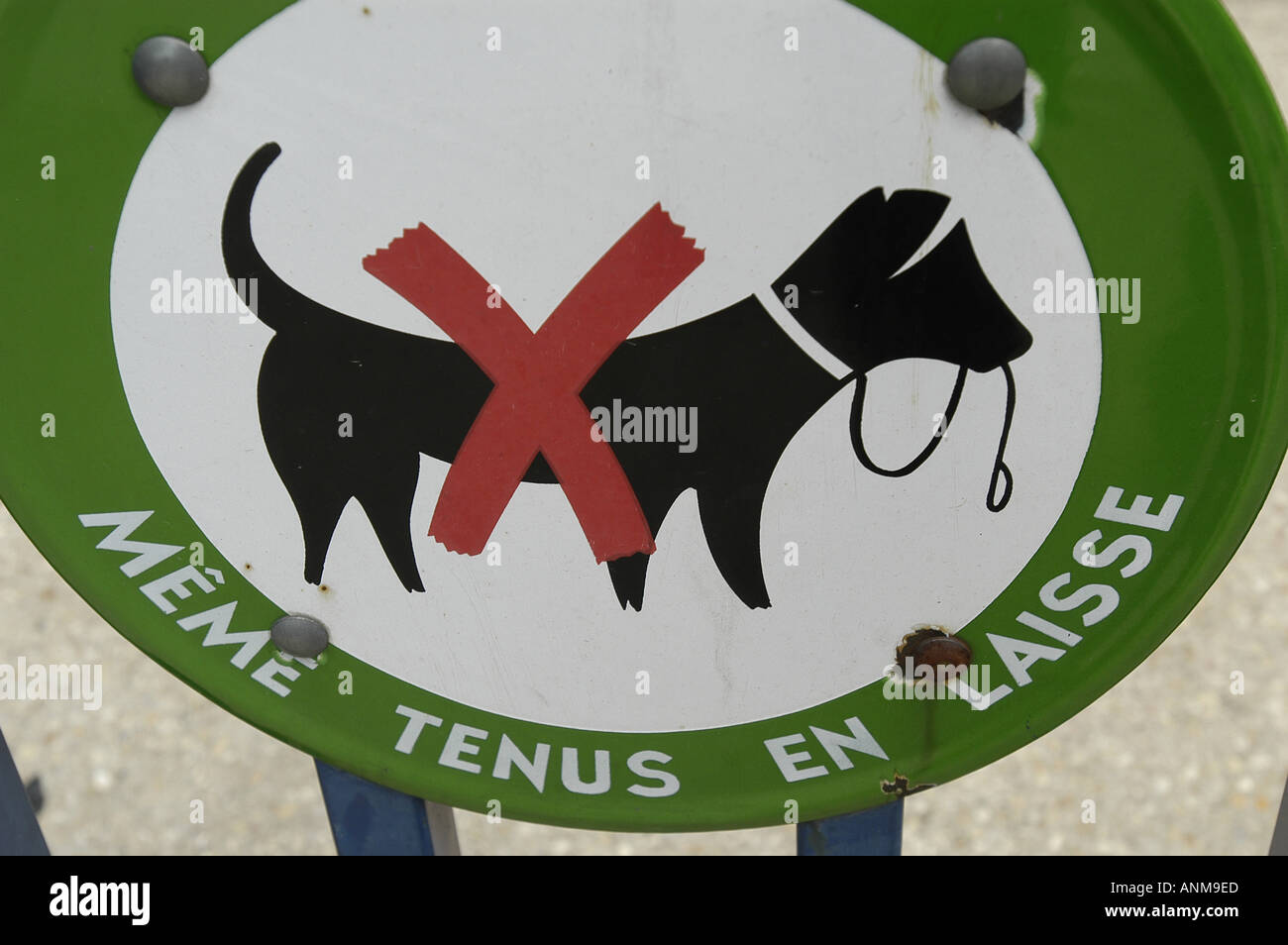 Street signs on Paris Rue France Stock Photo - Alamy