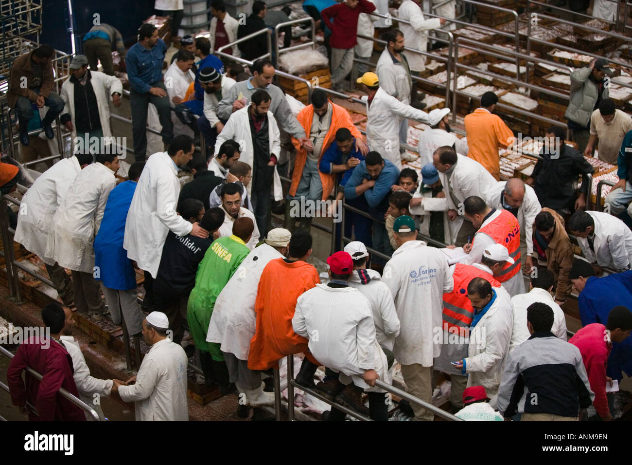 MOROCCO, Atlantic Coast, AGADIR: Commercial Port Fish Market Interior ...