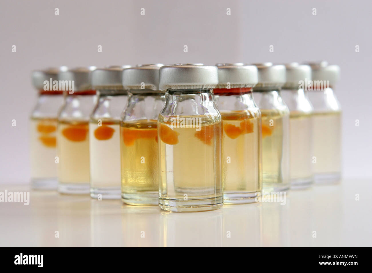 Bee pollen liquid Stock Photo - Alamy